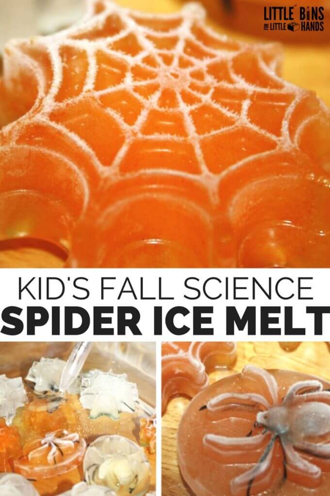 Spider Ice Melt Science Activity For Kid s Halloween STEM