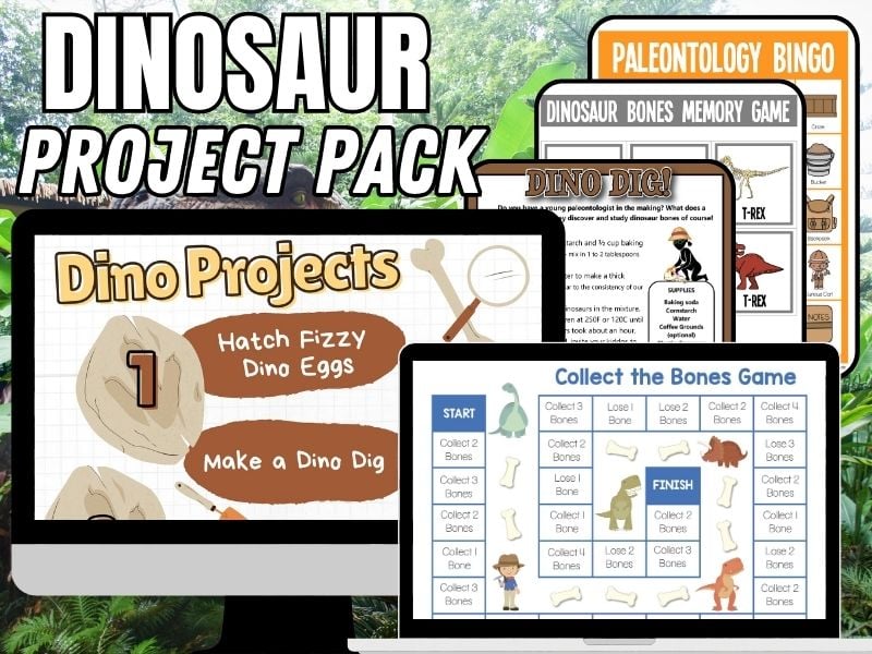 Dinosaur Footprint Activities - Little Bins for Little Hands