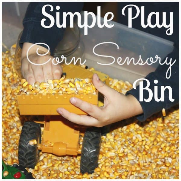 Fall Sensory Bin Ideas for Hands-On Autumn Play - Little Bins for ...
