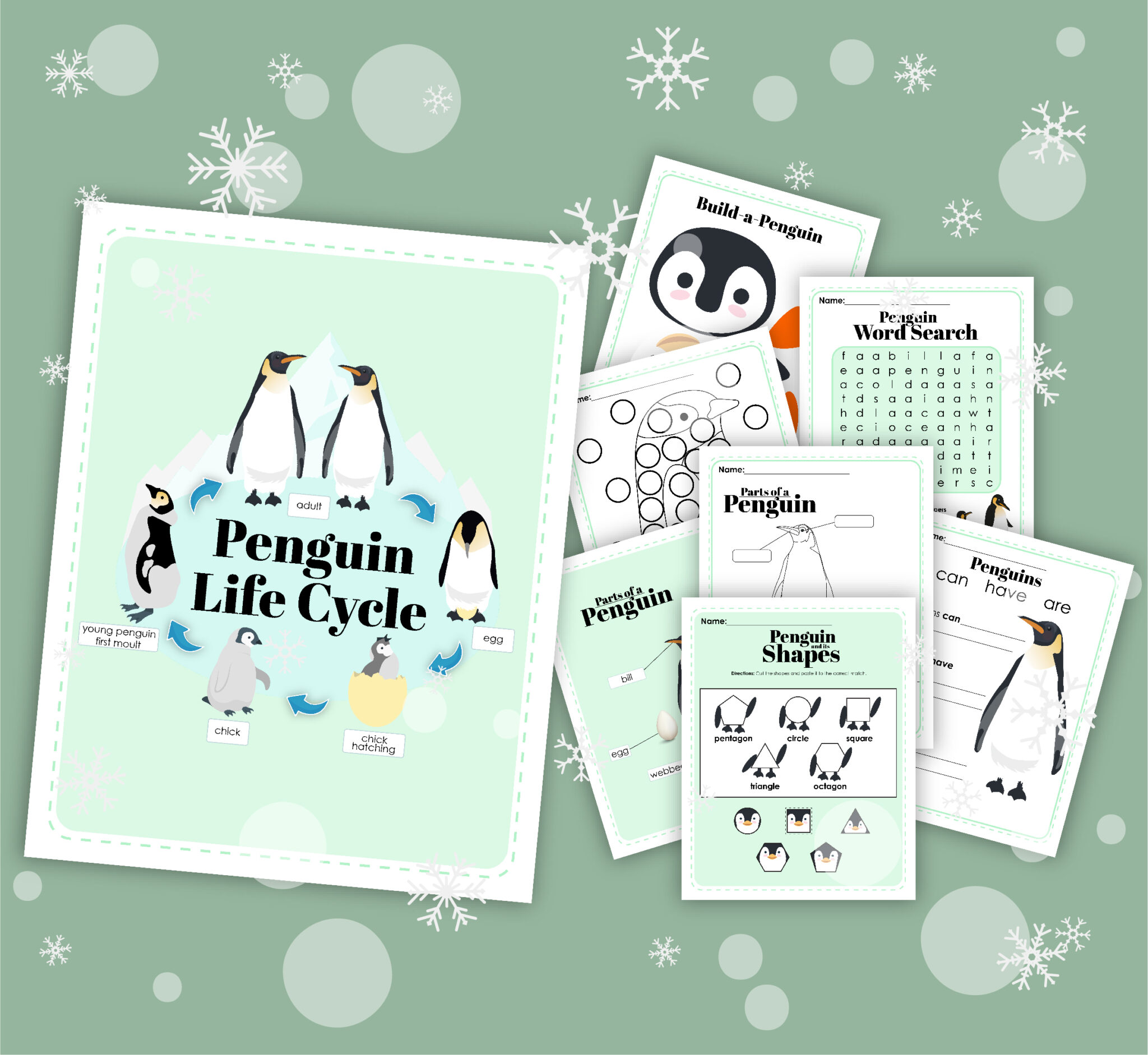 Life Cycle Worksheets - Little Bins for Little Hands