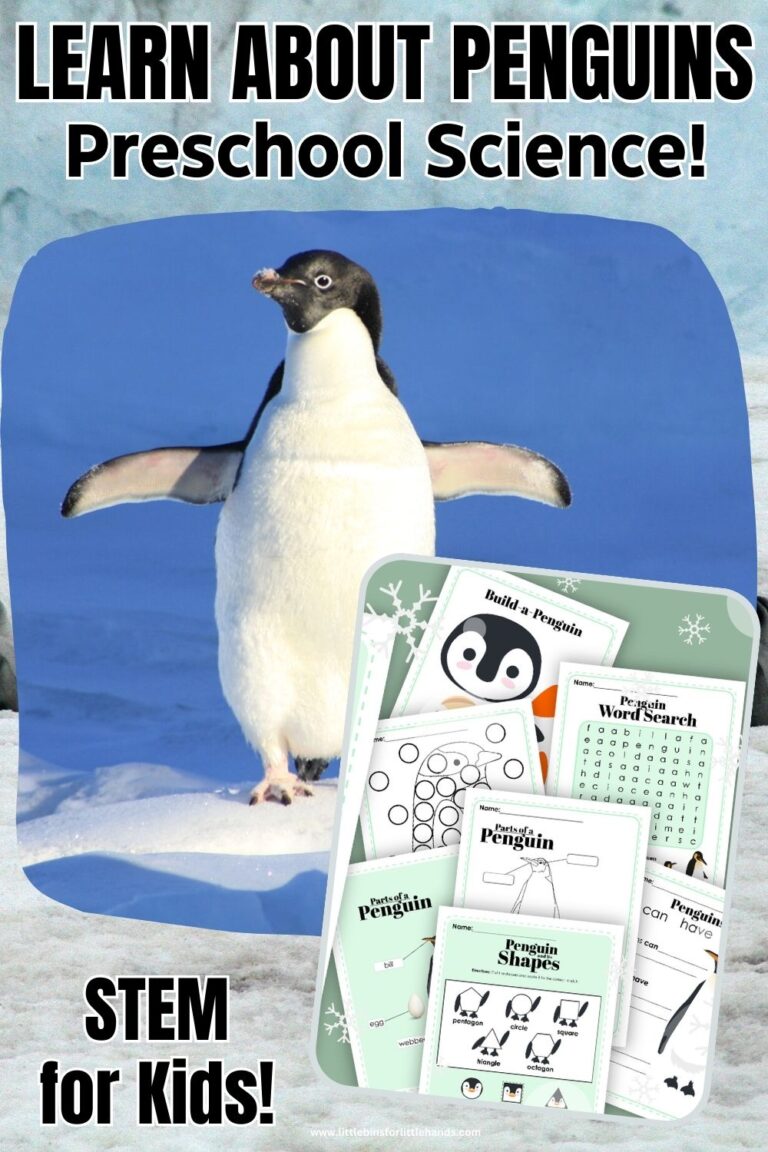 Penguin Preschool Activities for Hands-on Learning