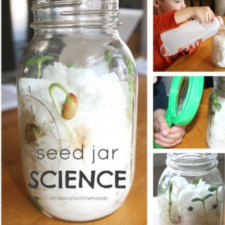 15 Mason Jar Science Experiments - Little Bins for Little Hands