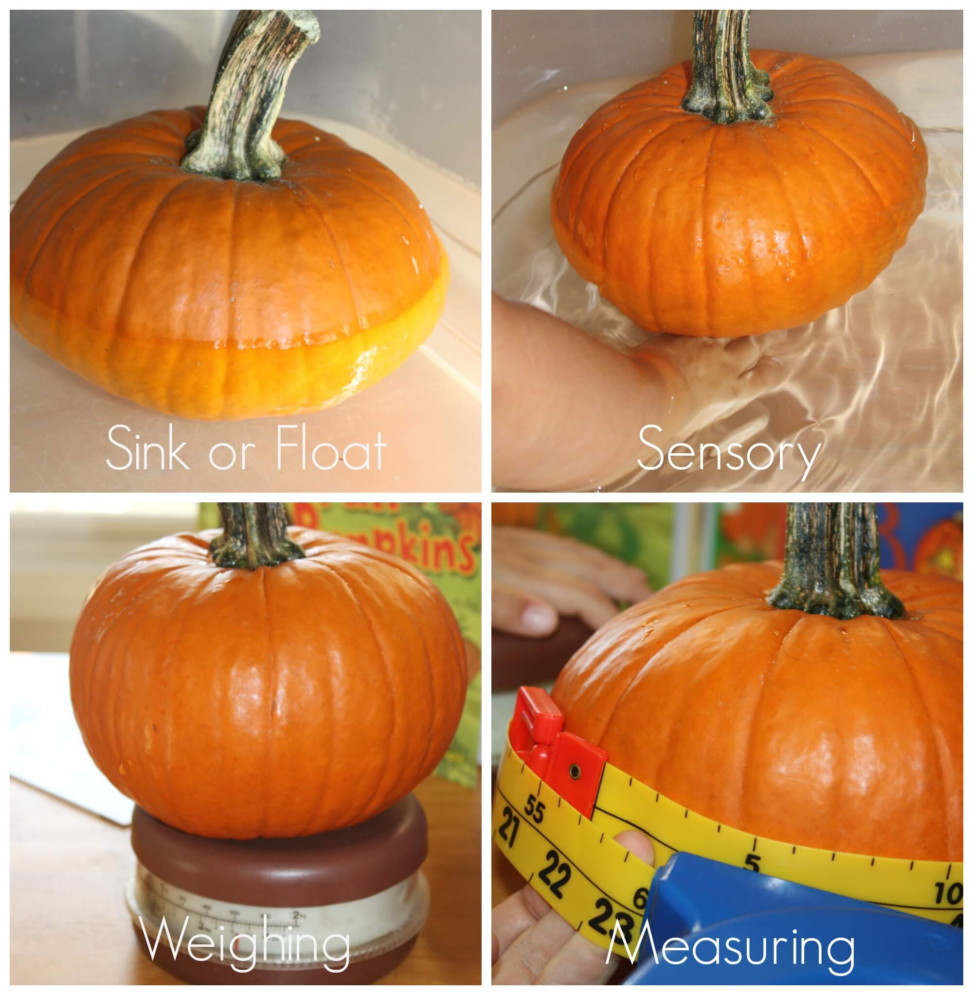 Pumpkin Activities And Learning Ideas For Fall Pumpkin Activities And Learning Ideas For Fall