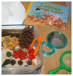 Fall Sensory Bin Ideas for Hands-On Autumn Play - Little Bins for ...