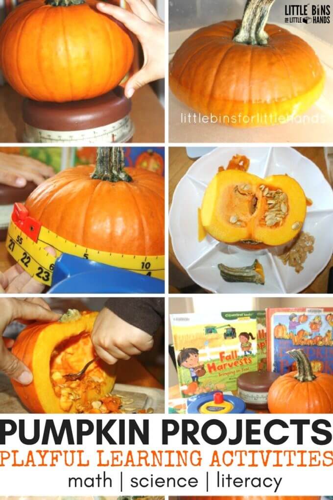 A Week Of Preschool Pumpkin Activities Little Bins For Little Hands