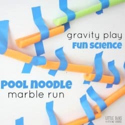 Marble Roller Coaster STEM Project (Energy Investigation for Kids)