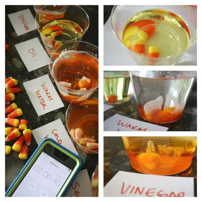 50 Amazing Fall STEM Activities - Little Bins for Little Hands
