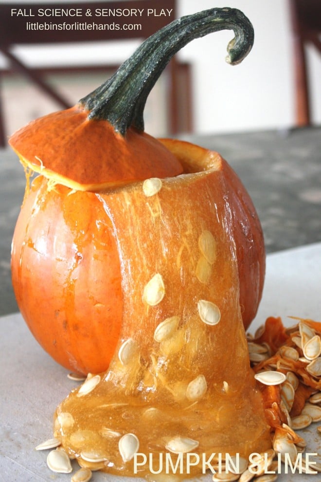 Pumpkin Slime Recipe with Real Pumpkin Guts | Fall STEM Activity
