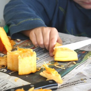 Pumpkin Investigation Activity For Fall Science - Little Bins for ...