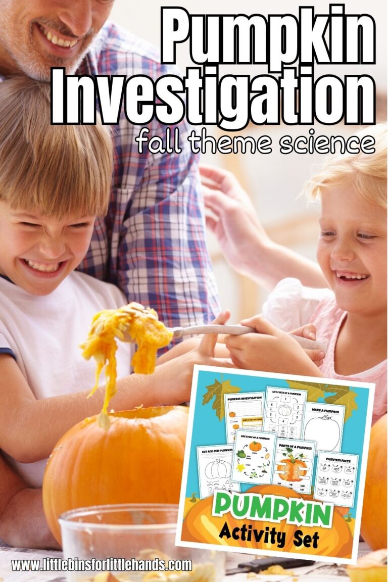 Pumpkin Investigation Activity For Fall Science - Little Bins for ...