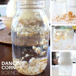 15 Mason Jar Science Experiments - Little Bins for Little Hands