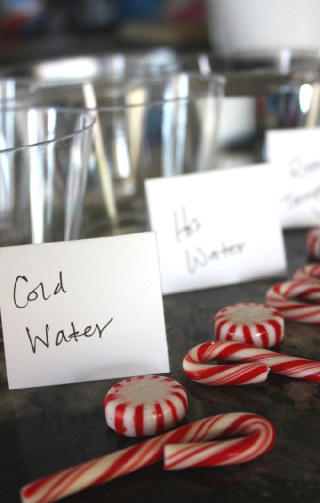 Dissolving Candy Cane Experiment - Little Bins for Little Hands