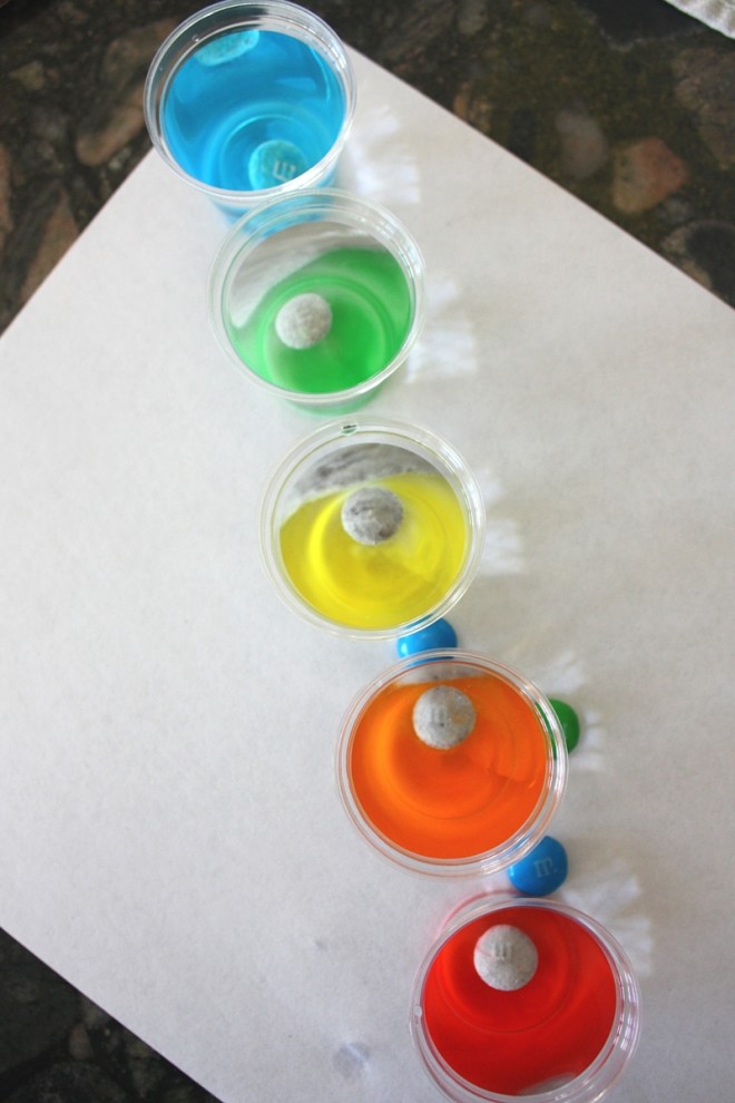 Floating M&M Science Project - Little Bins for Little Hands