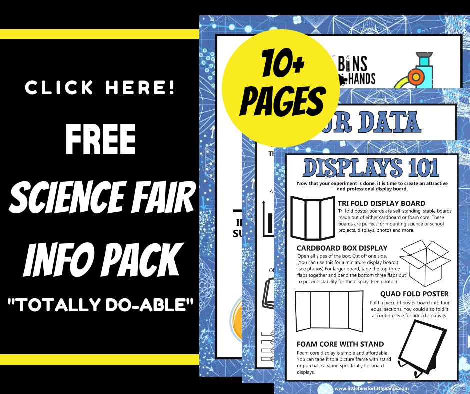 Science Fair Board Ideas - Little Bins for Little Hands
