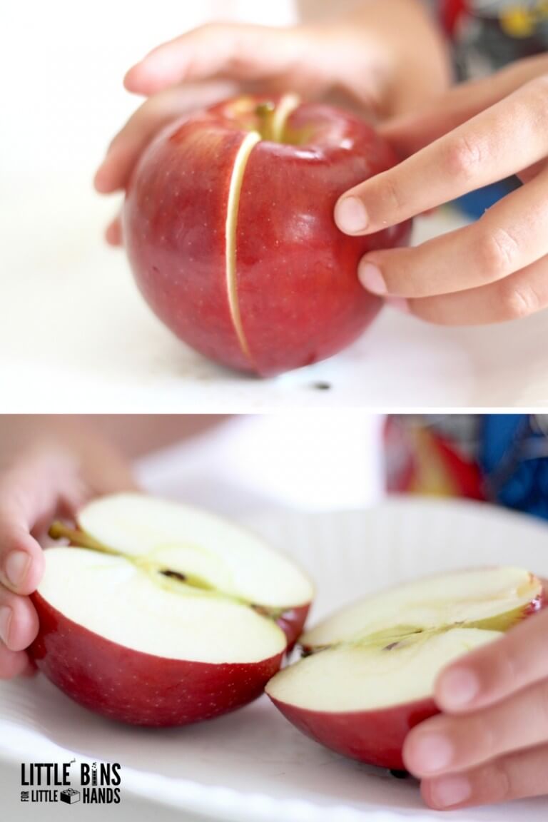 Apple Fractions: Math with Real Apples - Little Bins for Little Hands