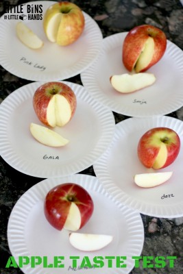 5 Senses Apple Taste Test - Little Bins for Little Hands
