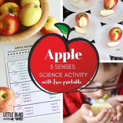 Free Printable Apple Worksheets - Little Bins for Little Hands