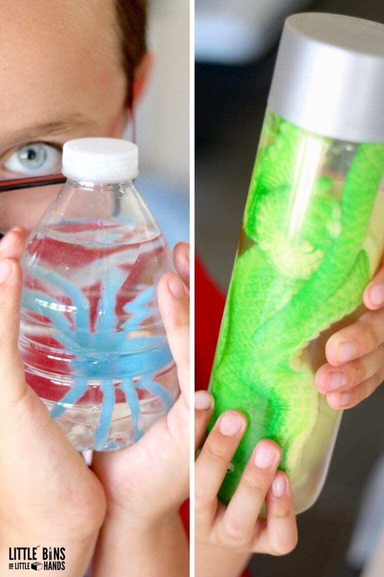 Grow Animal Specimen Bottles Science Discovery Activity