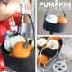 Pumpkin STEM Activities For Fall - Little Bins for Little Hands