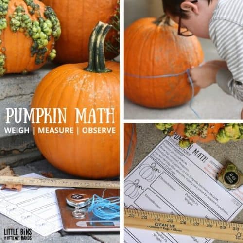 Pumpkin STEM Activities For Fall - Little Bins for Little Hands