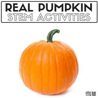 Fall Lego STEM Challenge Cards - Little Bins for Little Hands