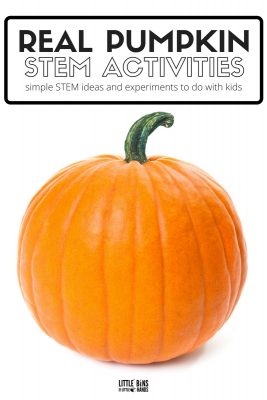 Pumpkin STEM Activities For Fall - Little Bins for Little Hands