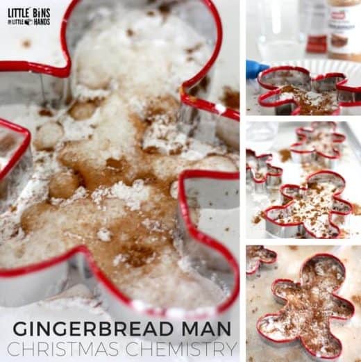 Dissolving Gingerbread Man Cookie Experiment - Little Bins for Little Hands