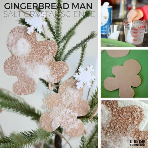 Dissolving Gingerbread Man Cookie Experiment - Little Bins for Little Hands