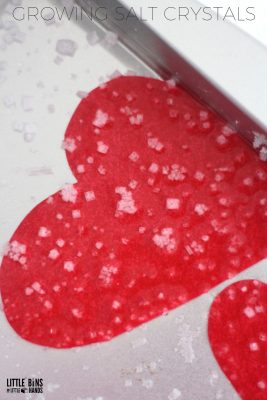 Salt Crystal Hearts Experiment (Easy Valentine Science for Kids)