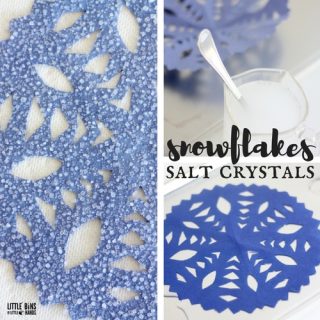 Grow Salt Crystal Leaves For Fall Science - Little Bins for Little Hands
