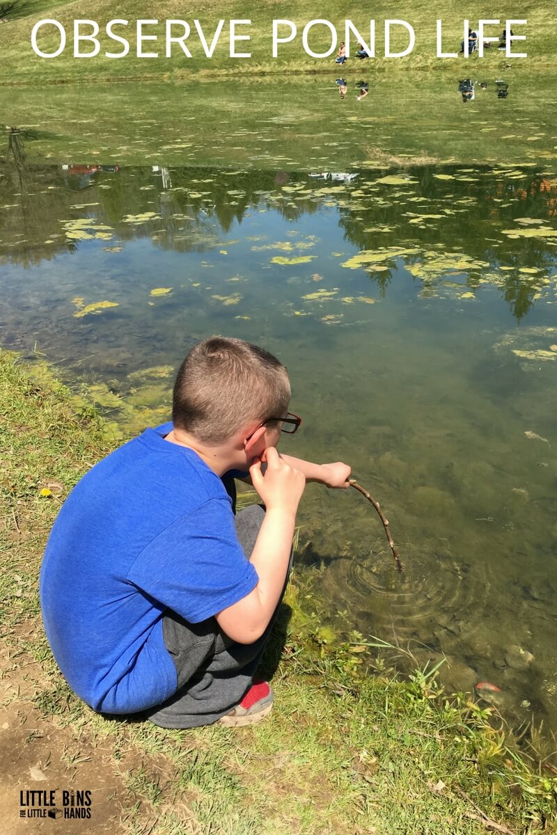 Outdoor Nature Science Activities And STEM Projects For Kids