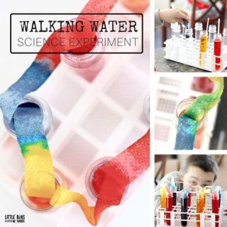 Capillary Action For Kids - Little Bins for Little Hands
