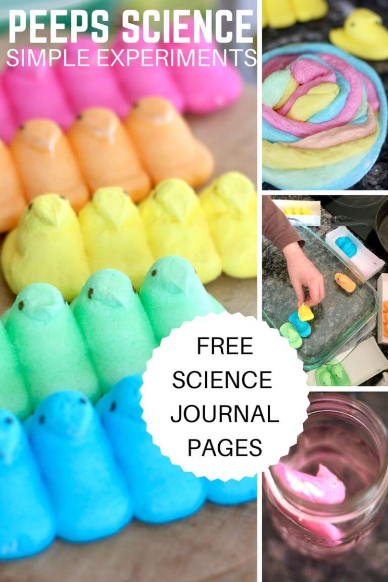 Fun Peeps Science Experiments - Little Bins for Little Hands
