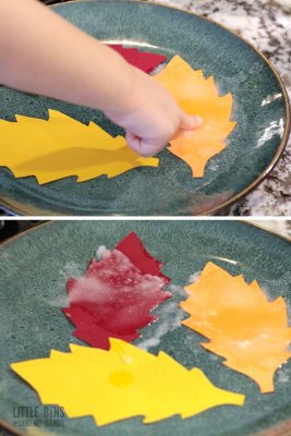 Grow Salt Crystal Leaves For Fall Science - Little Bins for Little Hands