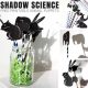 What is a Shadow? Science for Kids