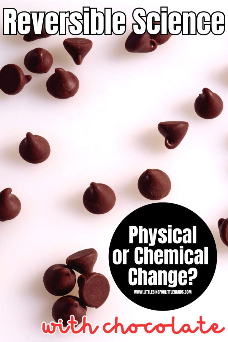 Melting Chocolate Science Experiment - Little Bins for Little Hands