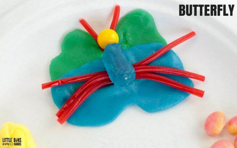 Edible Butterfly Life Cycle Activity - Little Bins for Little Hands