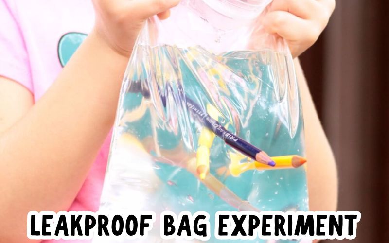 Leakproof Bag Experiment - Little Bins for Little Hands