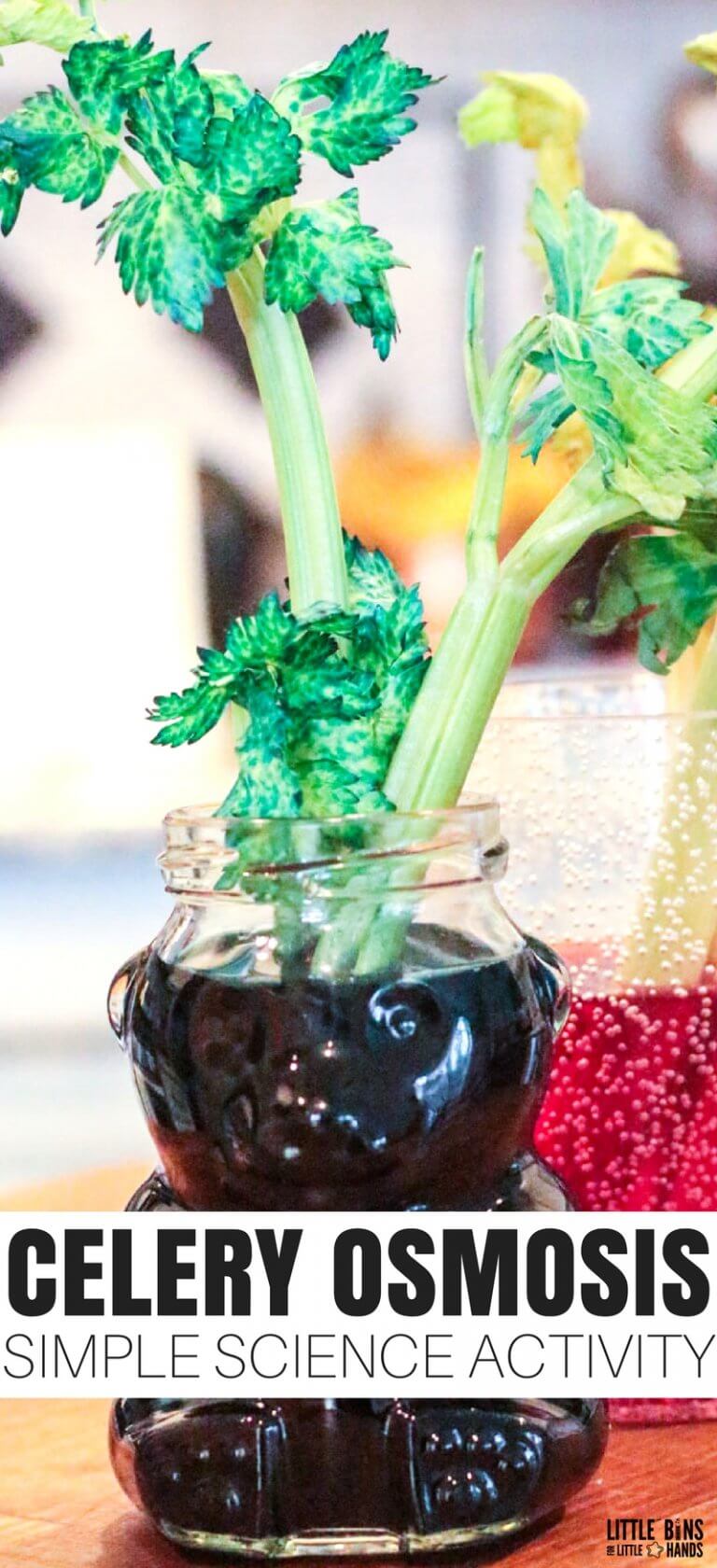 Celery Food Coloring Experiment - Little Bins for Little Hands