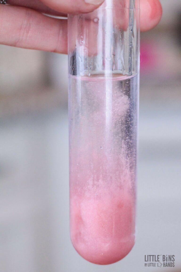 How To Extract DNA From Strawberries - Little Bins for Little Hands
