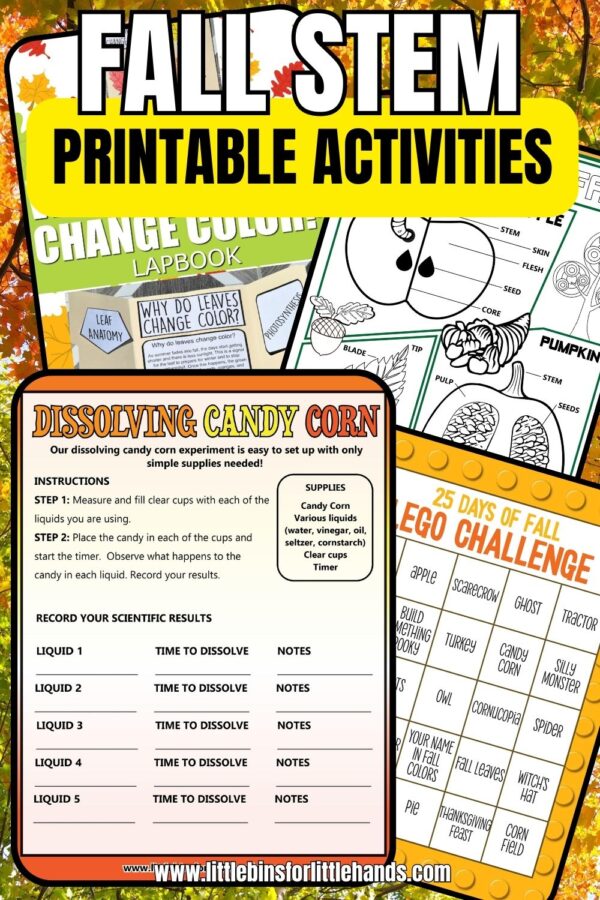 Must Try Printable Fall STEM Activities - Little Bins for Little Hands