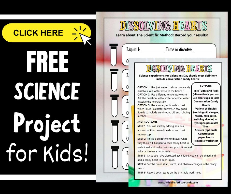 Dissolving Candy Heart Experiment - Little Bins for Little Hands