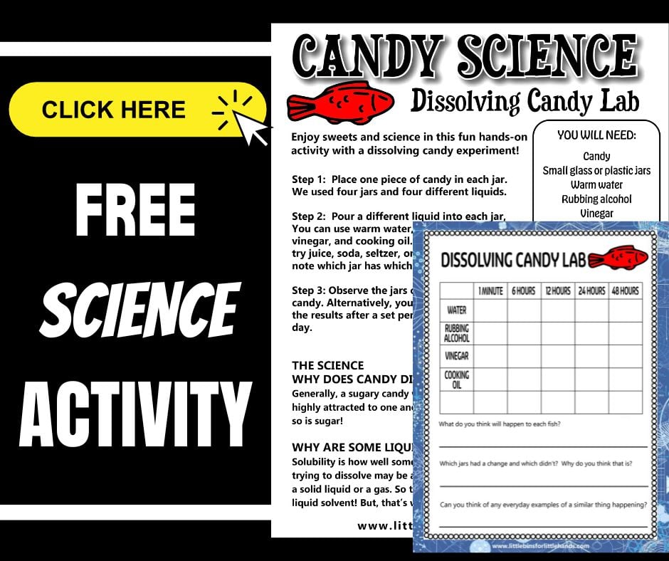 Dissolving Candy Fish Experiment - Little Bins for Little Hands