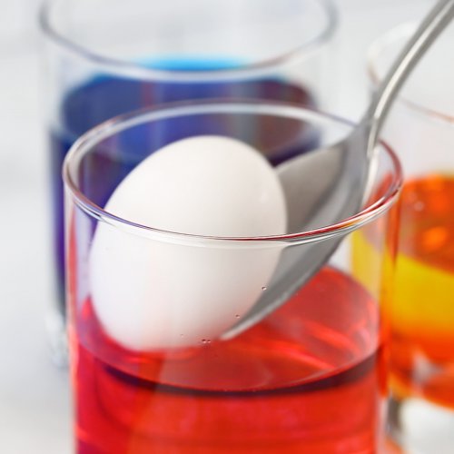 Science Activities For Preschoolers | Little Bins for Little Hands