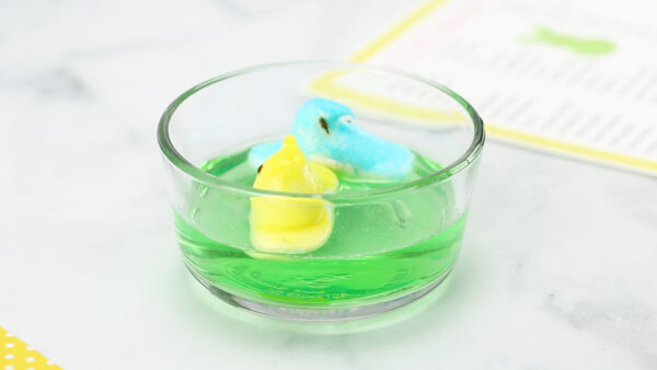 Peeps Science Experiments for Kids (Easy Easter STEM Activities)