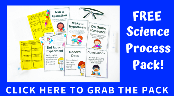 What Absorbs Water: Absorption For Kids - Little Bins for Little Hands