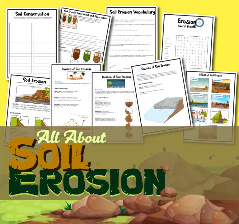 Ecology Projects for Kids | 20 Fun Ecosystem Science Activities