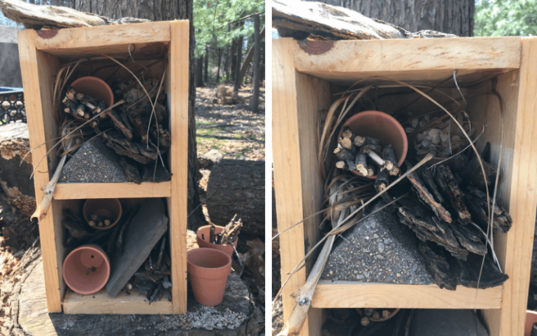 Bug House For Kids - Little Bins for Little Hands