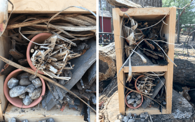 Bug House For Kids - Little Bins for Little Hands