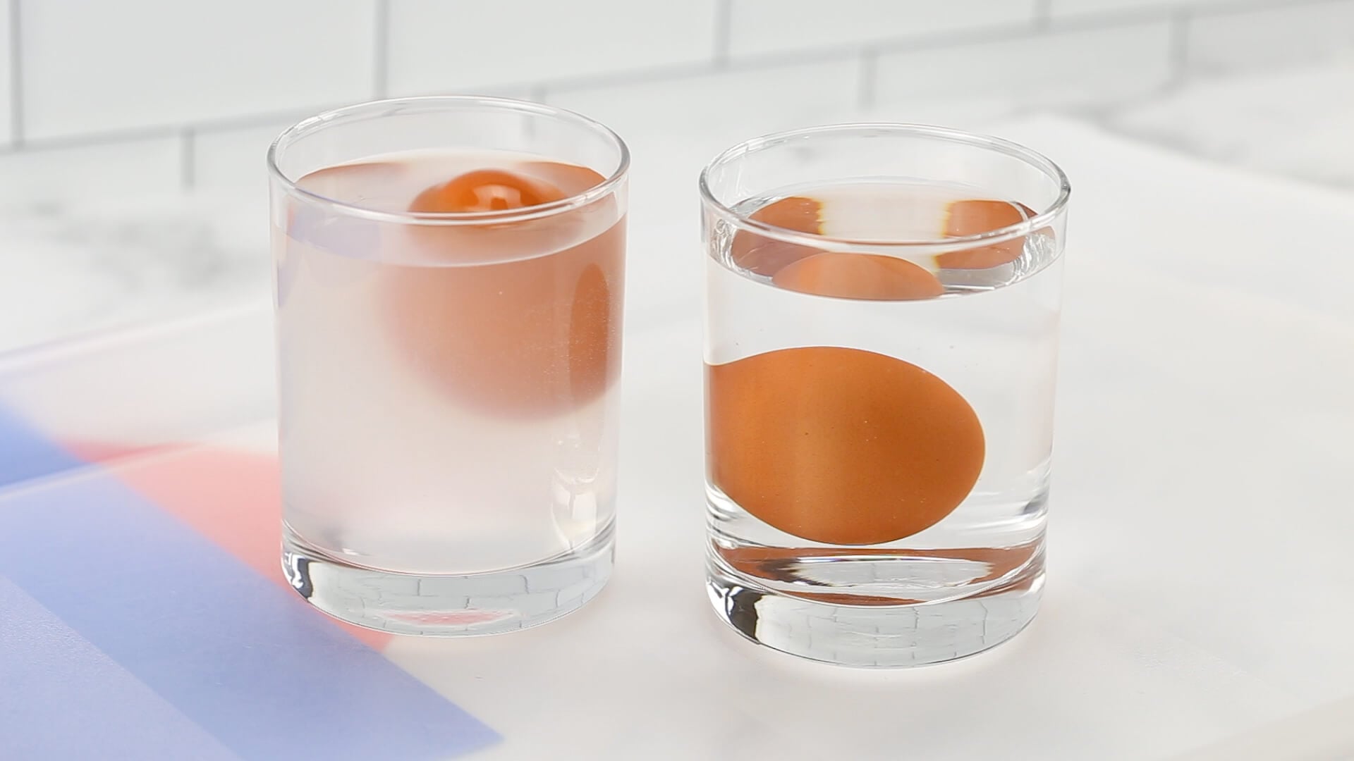 Salt Water Density Experiment (Floating Egg)